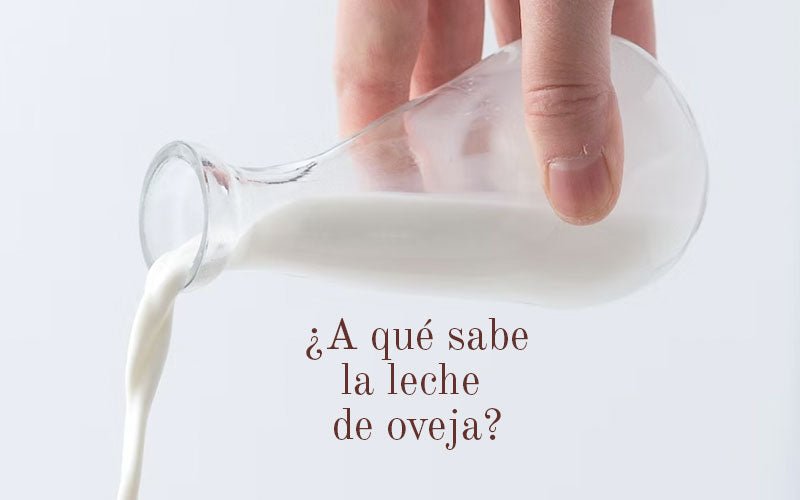 ¿A qué sabe la leche de oveja? – DILMUN