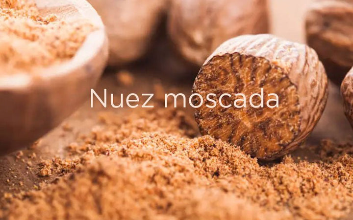 ¿Qué es la nuez moscada? – DILMUN