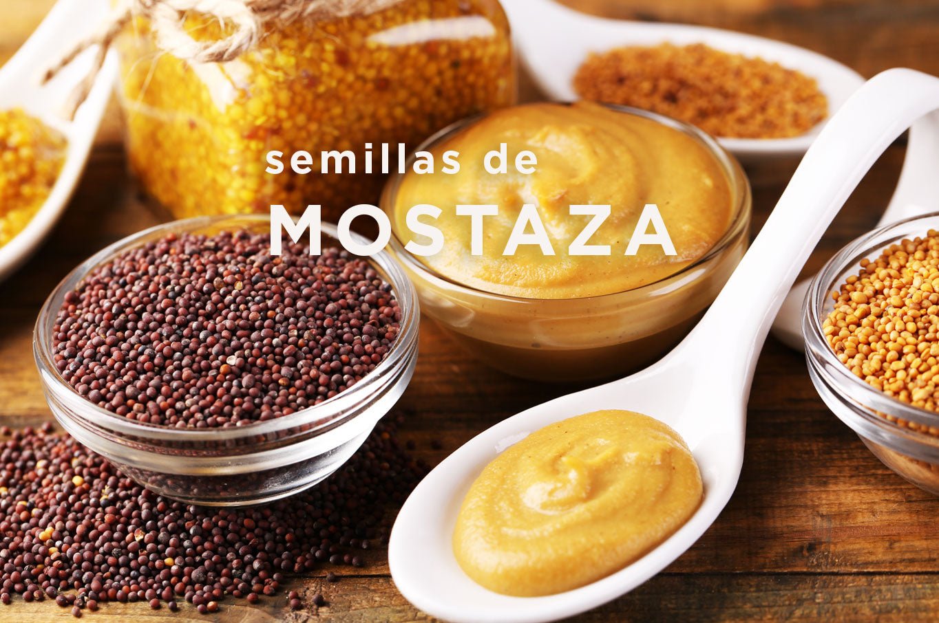Caracteristicas Do Arbol De Mostaza UN GRANO DE MOSTAZA – Cautivados