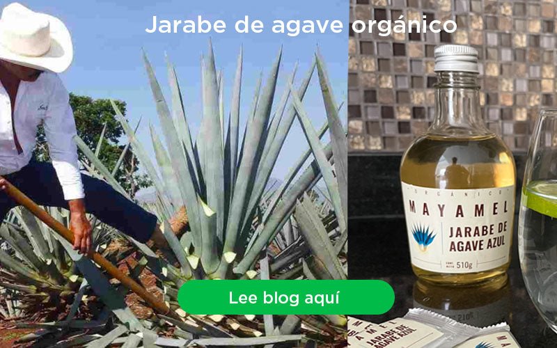 ¿El jarabe de agave es para personas con diabétes? – DILMUN